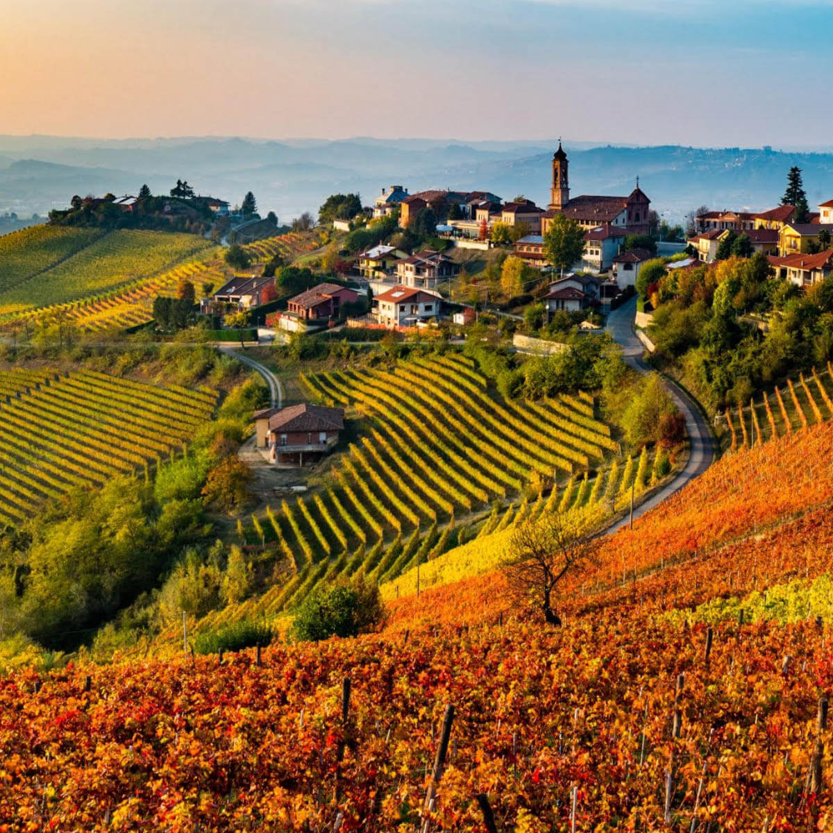 Le tue vacanze in Piemonte: un viaggio memorabile