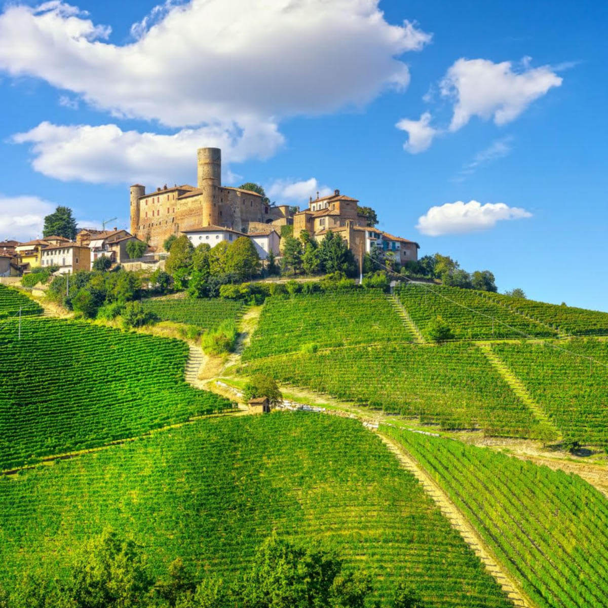 Langhe, Roero e Monferrato: una perla del Piemonte