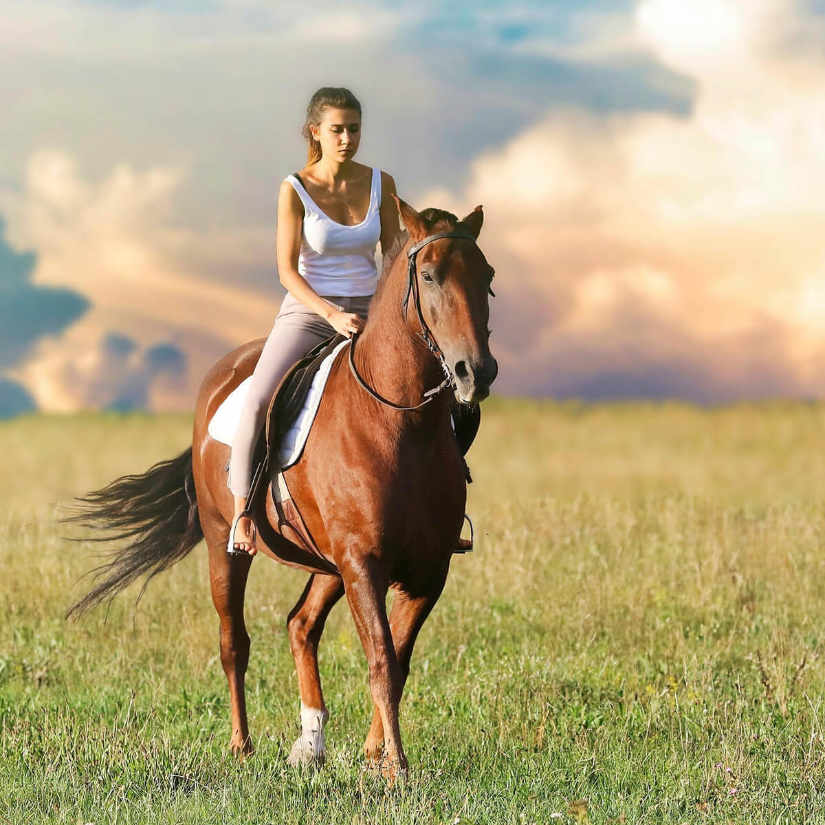 Prova le nostre escursioni a cavallo