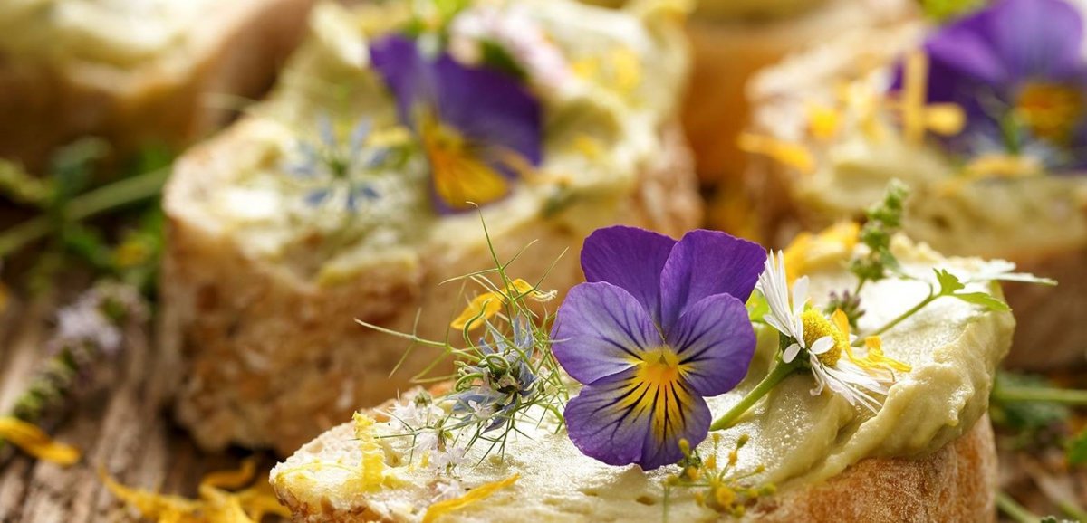 Cooking with flowers: learn with us